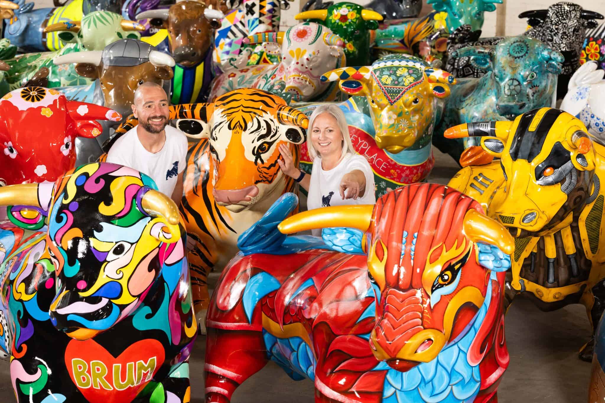 Bulls in the City - Birmingham Hospice